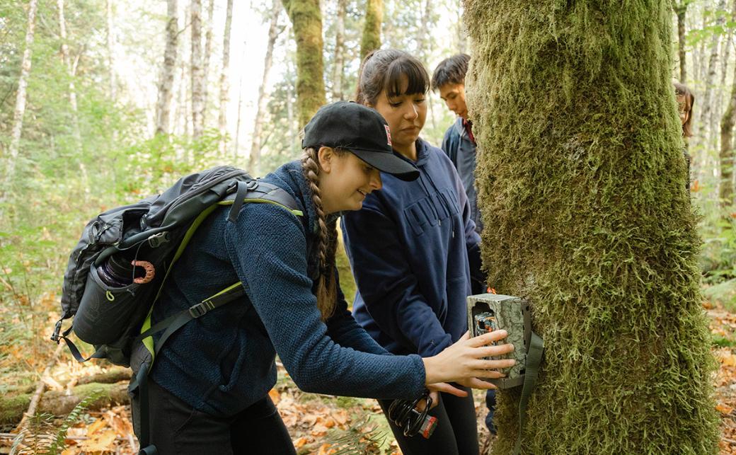 A New Way to Gain Work Experience Before Graduation - Capilano University