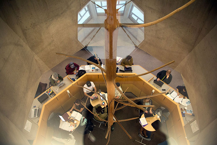 2018: CapU Library: Preserving our natural environment - Capilano ...