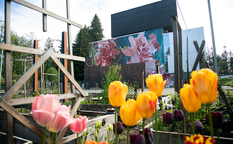 New Students - Capilano University