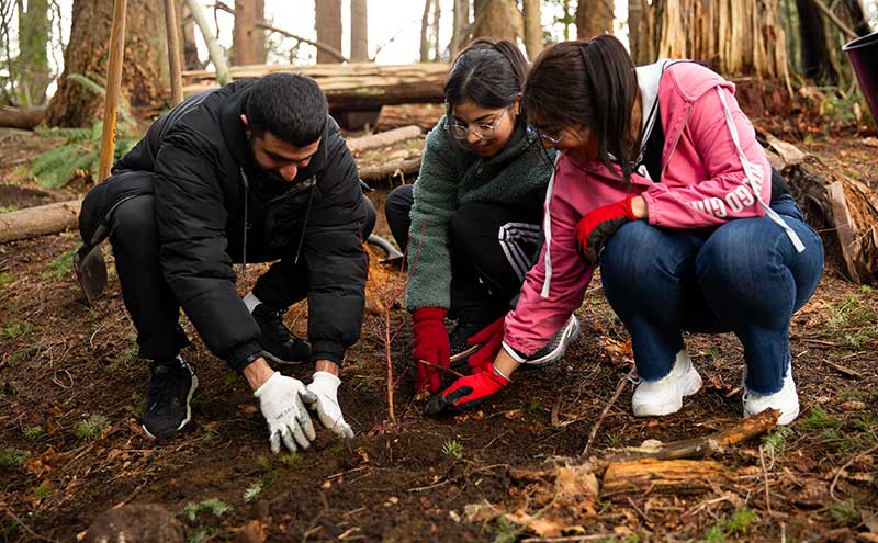 Work-Integrated Learning at CapU - Capilano University