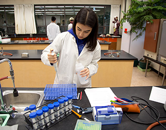 School of Science, Technology, Engineering & Mathematics (STEM ...